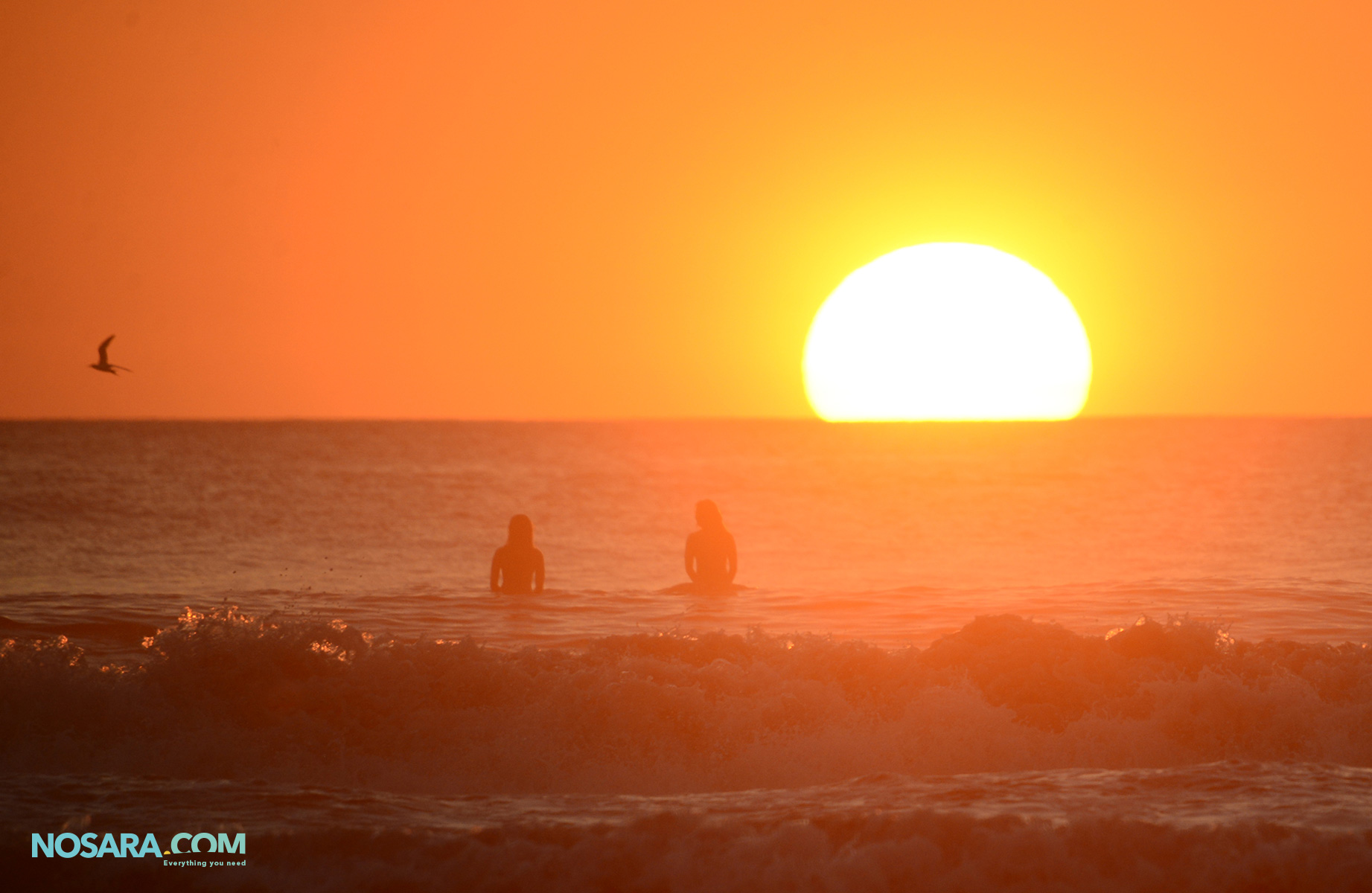 Visiting Nosara beach Costa Rica