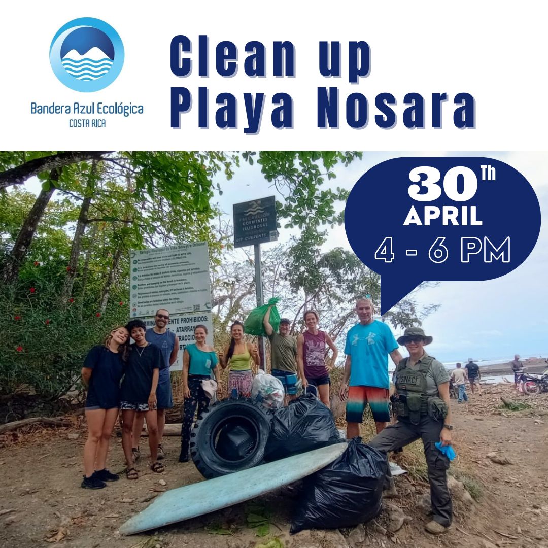 Clean up Nosara Beach | Nosara.com